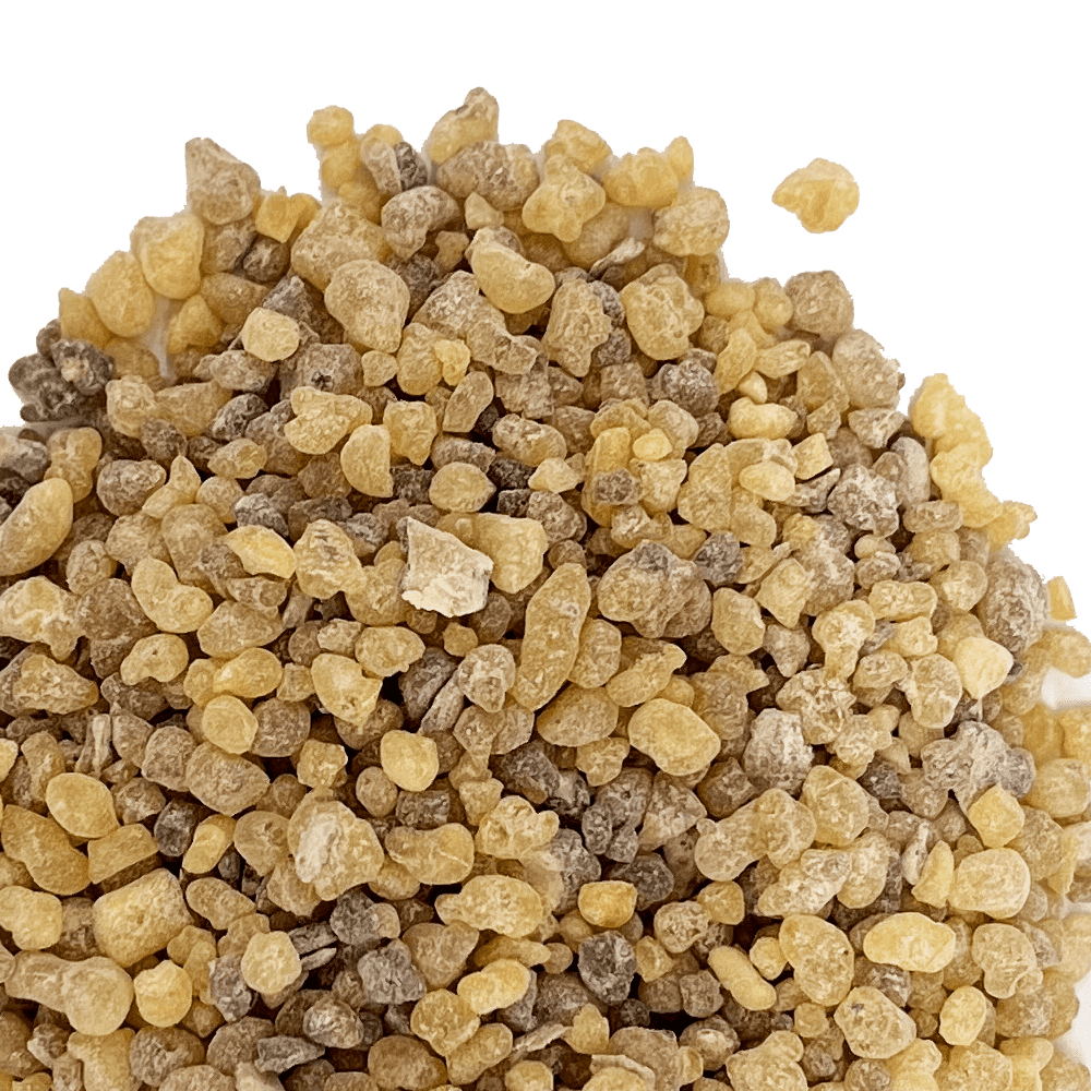 Incenso Litúrgico de Igreja Olíbano Frankincense Lacryma Christi ...