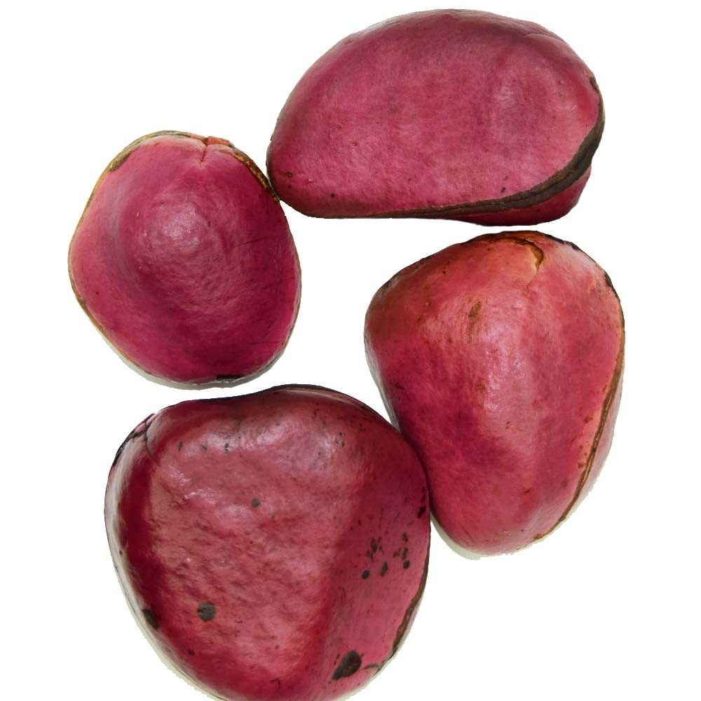 Obi Nacional 2 Gomos Roxo - 1 Unidade - Obi Nacional e Importado | A ...