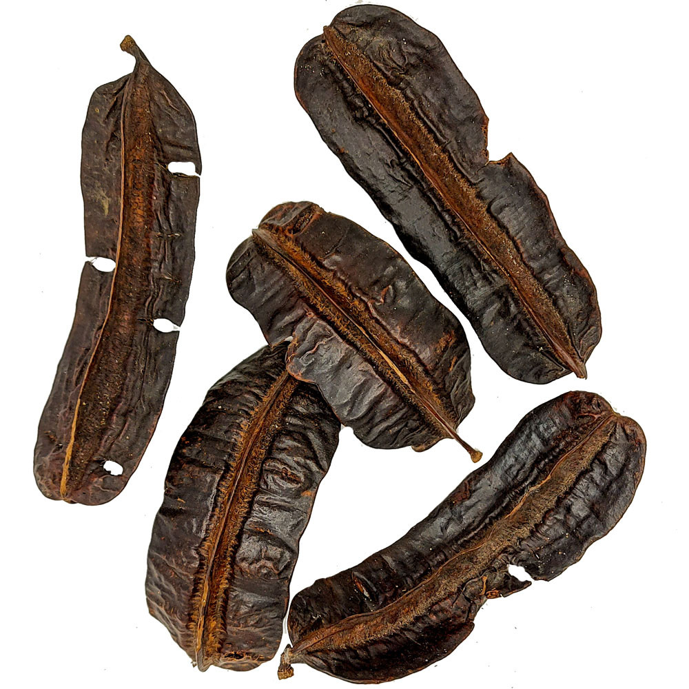 Fava de Aridan Natural Gigante 1 Unidade | A maior Loja de Umbanda e ...