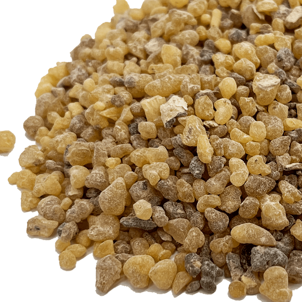 Incenso Litúrgico de Igreja Olíbano Frankincense Lacryma Christi ...