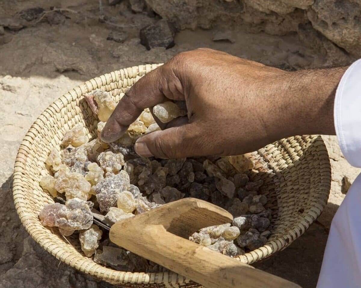 Incenso Litúrgico de Igreja Olíbano Frankincense Somalian Importado ...