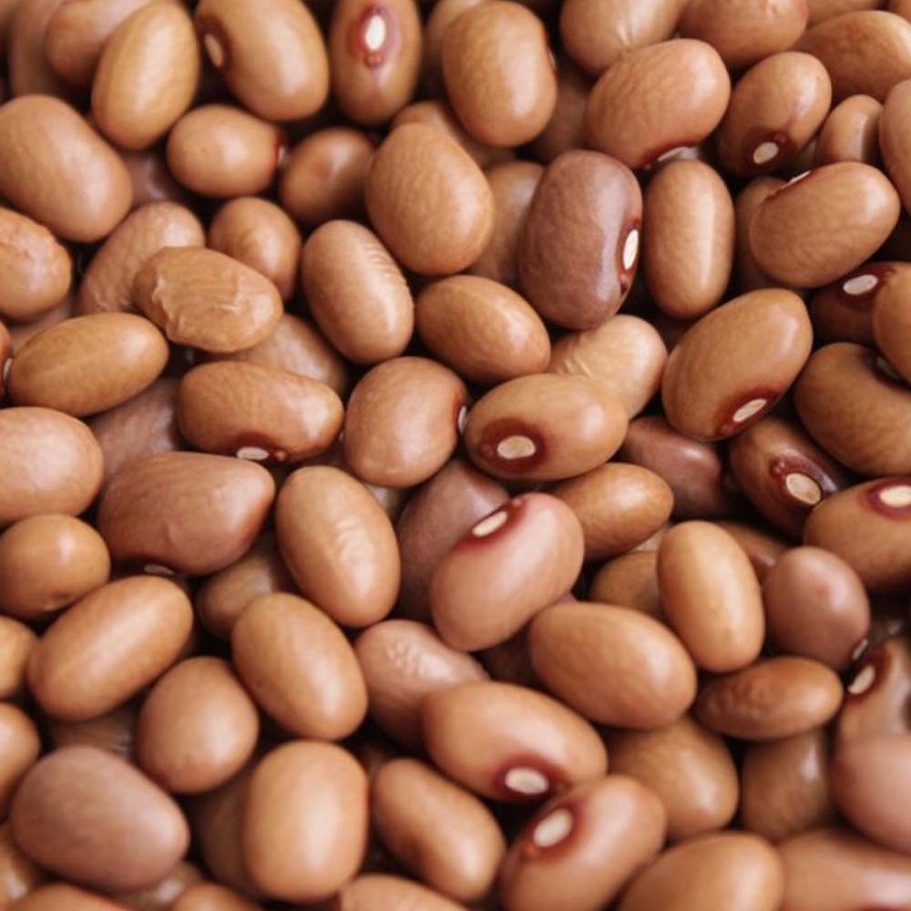 Feijão Mulatinho 500 gramas | A maior Loja de Umbanda e Candomblé desde 1969- Compre on line