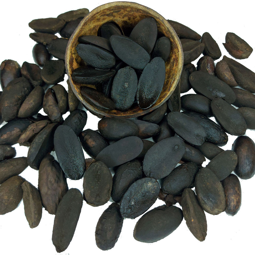 Pixuri Fava Puxuri Grande - 1 Kilo | A maior Loja de Umbanda e ...