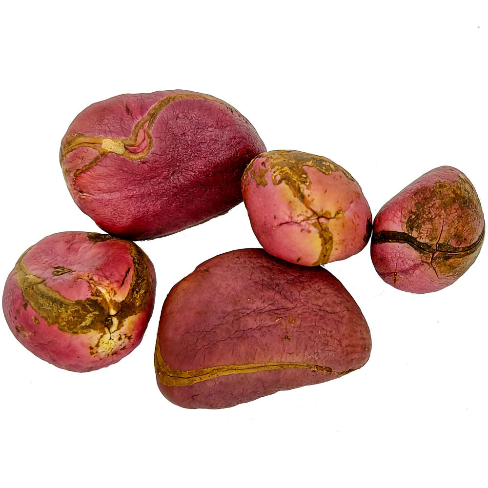 Obi Nacional 2 Gomos Roxo - 1 Unidade | A maior Loja de Umbanda e ...